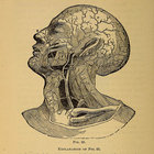 Orpheus Looking Back | Emma Ruth Rundle