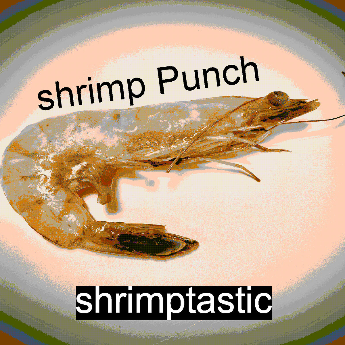 MIDI DELIGHT | shrimp Punch | shrimp punch