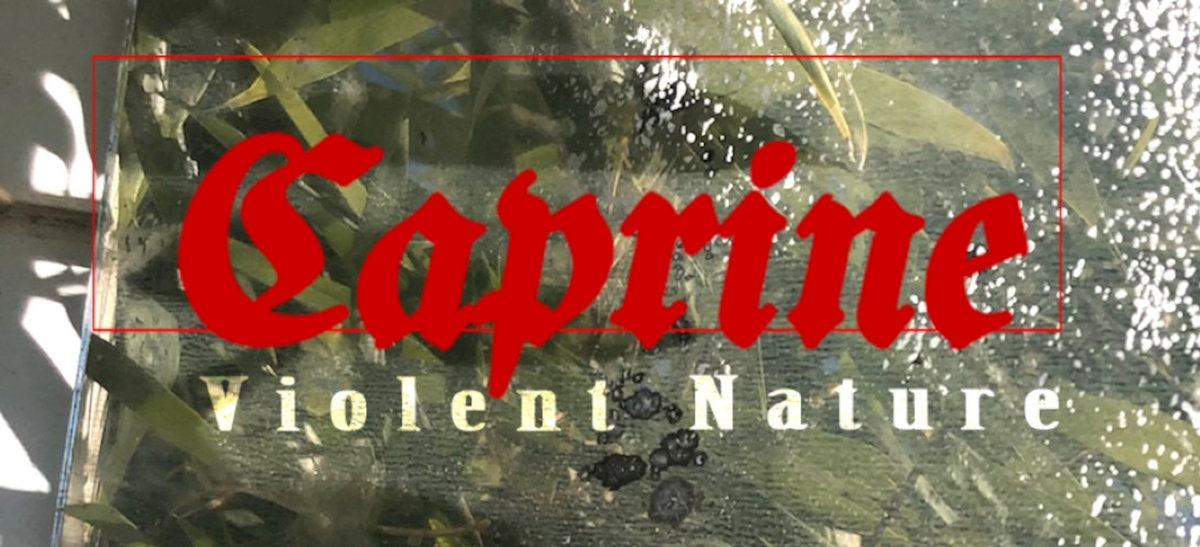 Mistakes and Sacrifice | Caprine