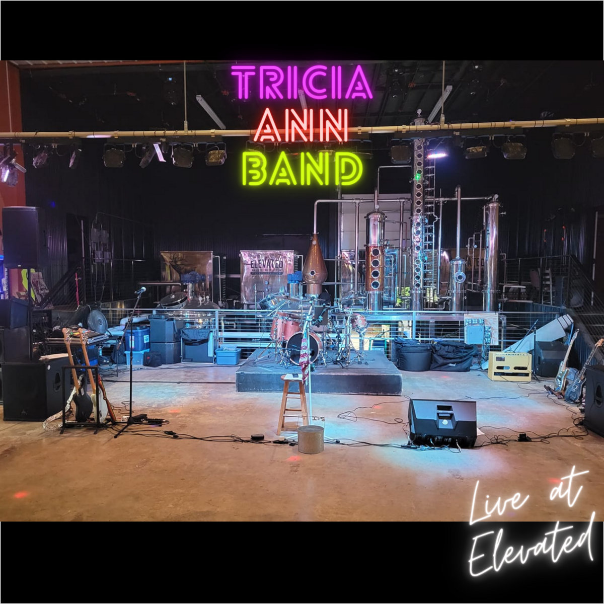 Hold on Loosely | Tricia Ann Band