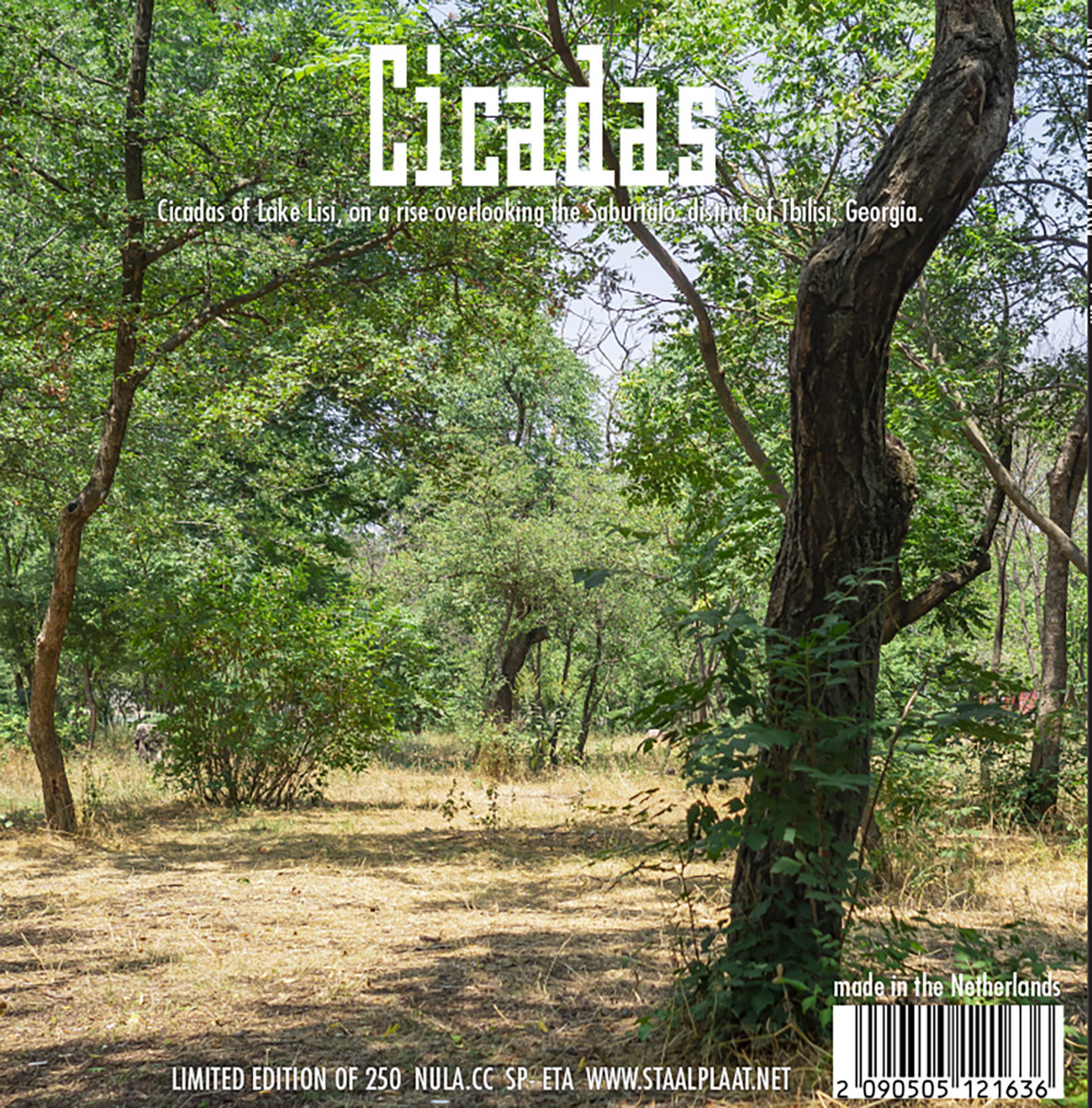 Cicadas - Bells | Nula.cc | staalplaat label