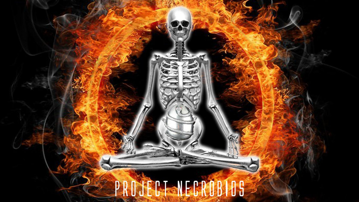 Illuminates of Thanateros | Project Necrobios