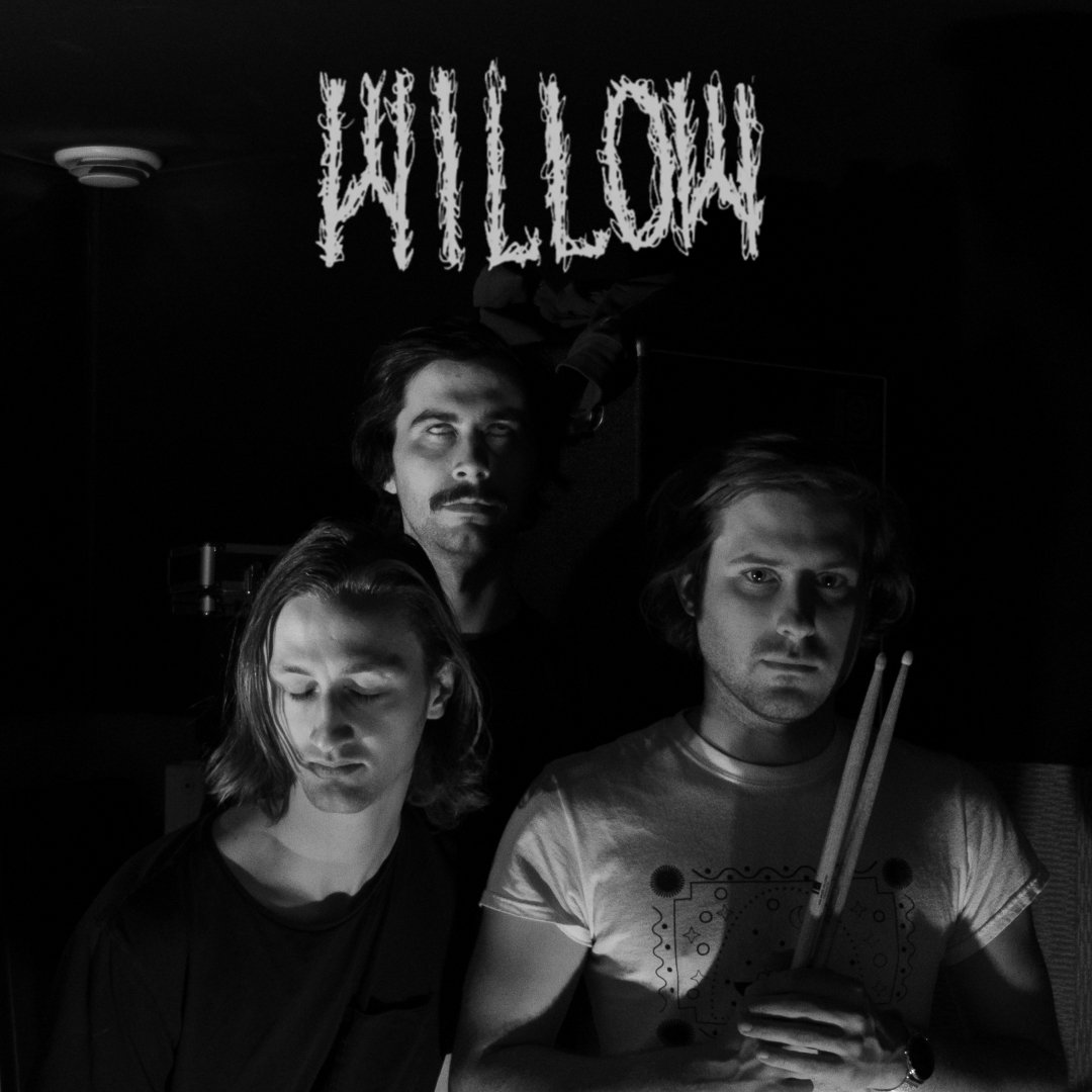 Music | Willow