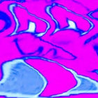 SHINBANGUMI | Ginger Root