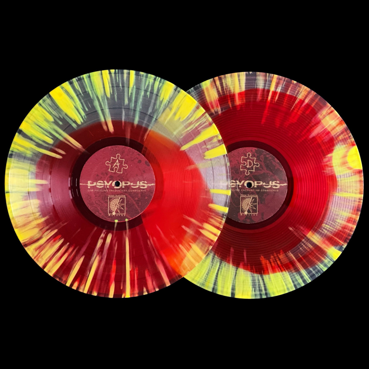 Our Puzzling Encounters Considered | Psyopus | Silent Pendulum Records