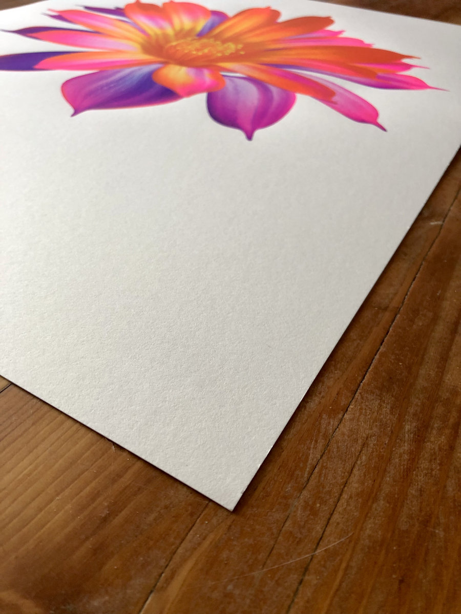 A Dream of Spring | Ineffekt | Something Happening Somewhere