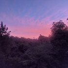 Dim Probs | Gruff Rhys