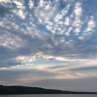 The Court Jester (feat. Fukase) | thquib