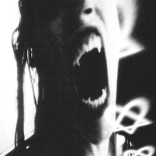 anima vestra | komatoze