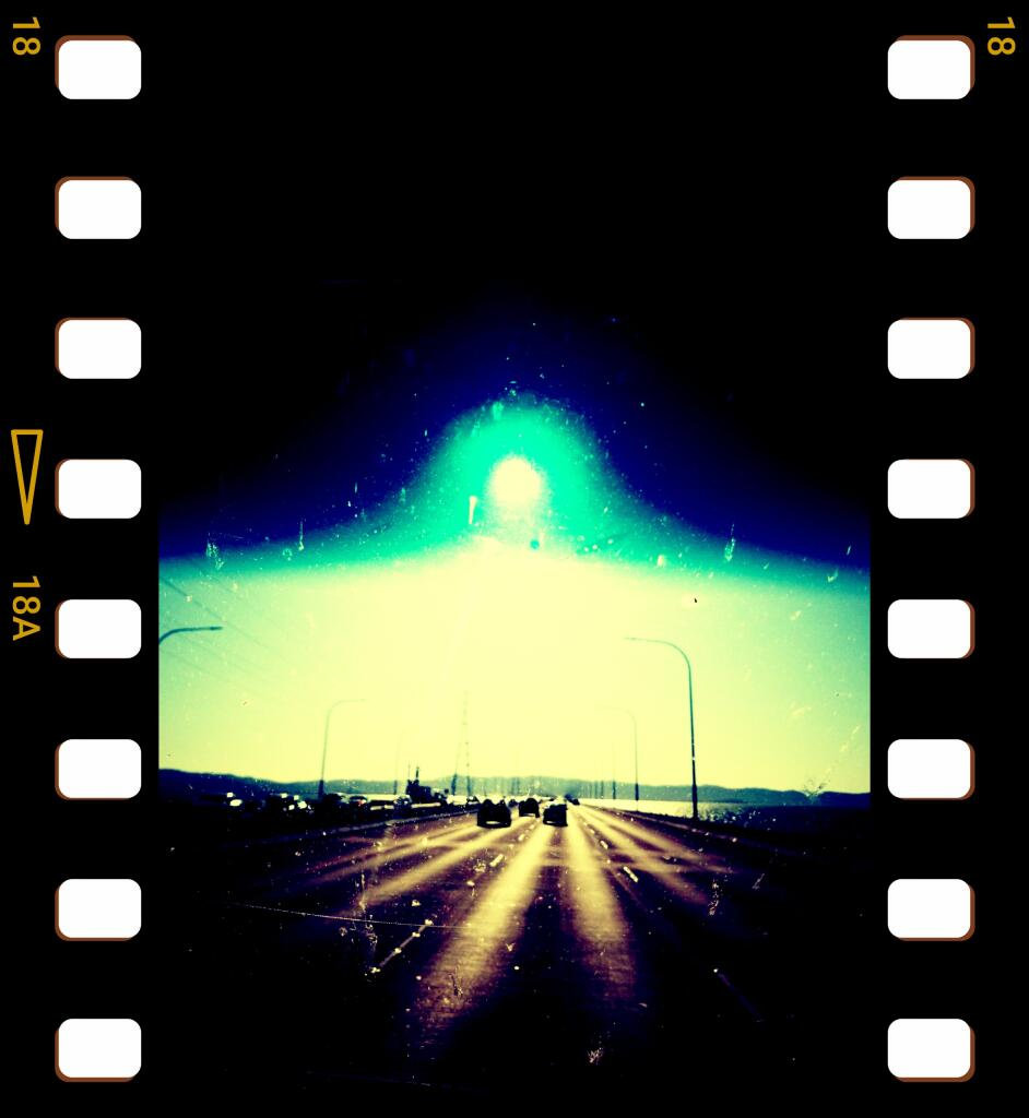 Mayan Bull | Mayan Bull