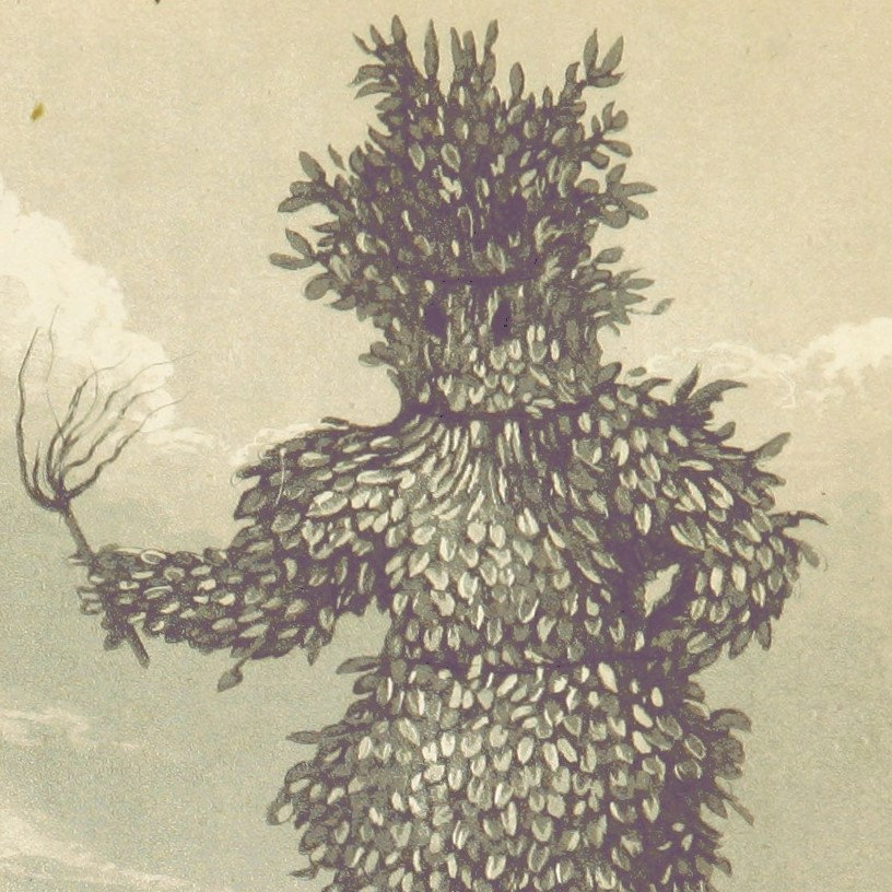 The Toad Alchemy | Tales Under The Oak