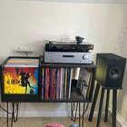 Joy, Departed | Sorority Noise