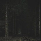 The Carrion Fields (NP052) | Krigsgrav | Naturmacht Productions