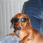 Aphrodite Dub/Ghost Town Riddim | JONNY REEBOK