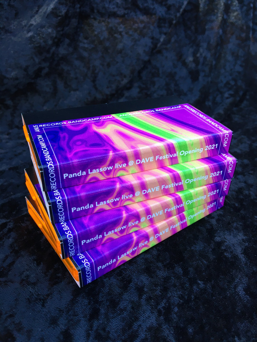Panda Lassow Live at DAVE 2021 | Panda Lassow | ANUS Records
