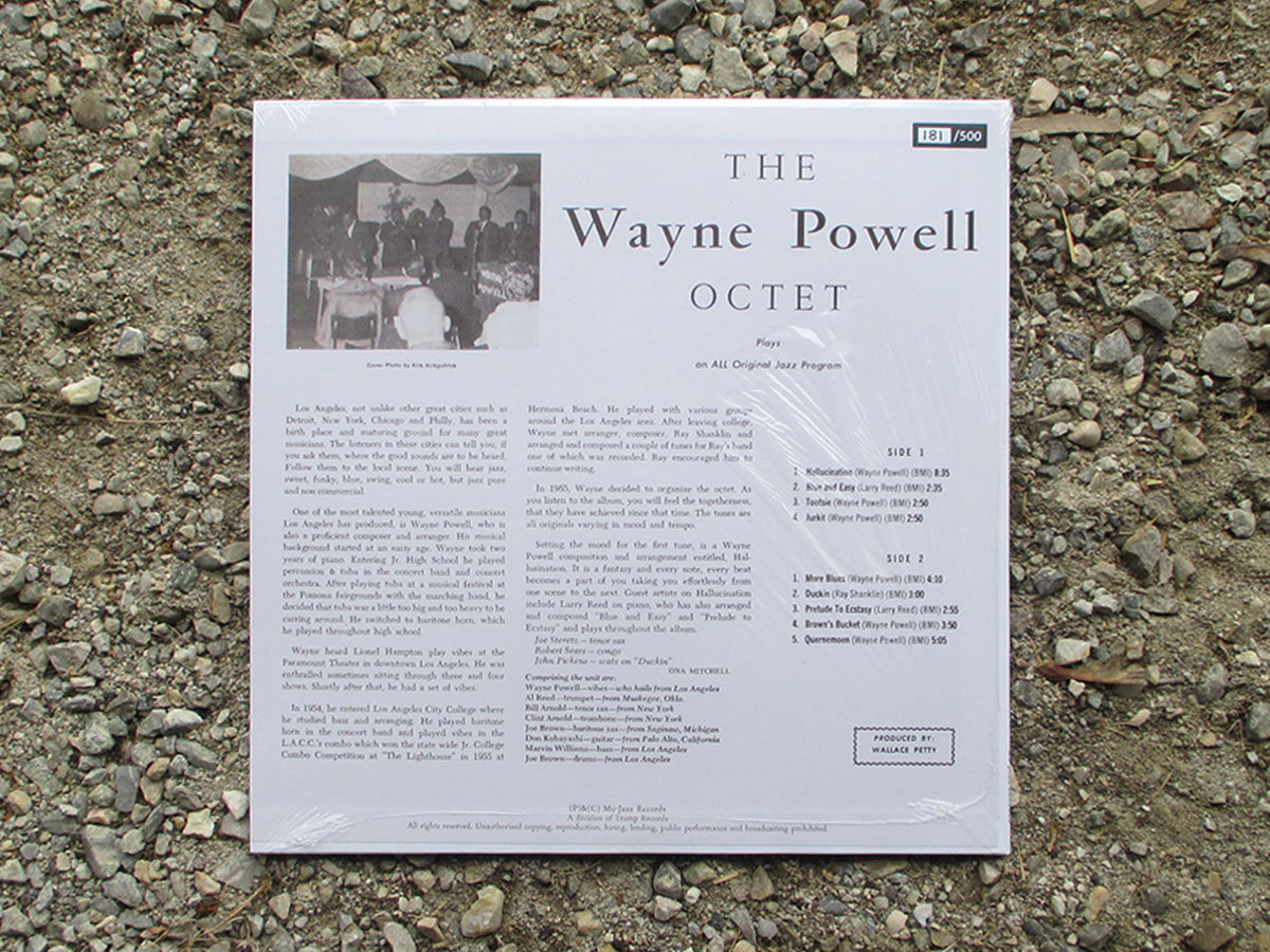 Plays Hallucination | Wayne Powell Octet | Tramp Rec.