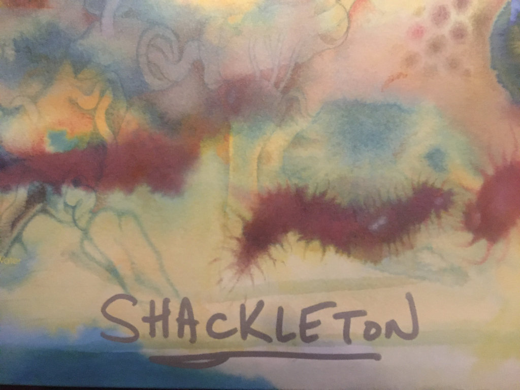 Sixteen Years Since He First Appeared, Shackleton Remains a Mystery ...