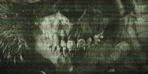 Stargift | Magenta Injection • Payta | Vault of MI