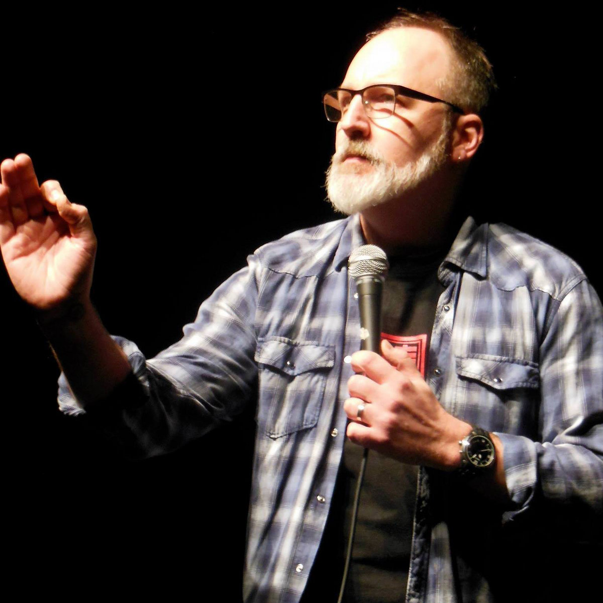 Butterflies | Todd Van Allen