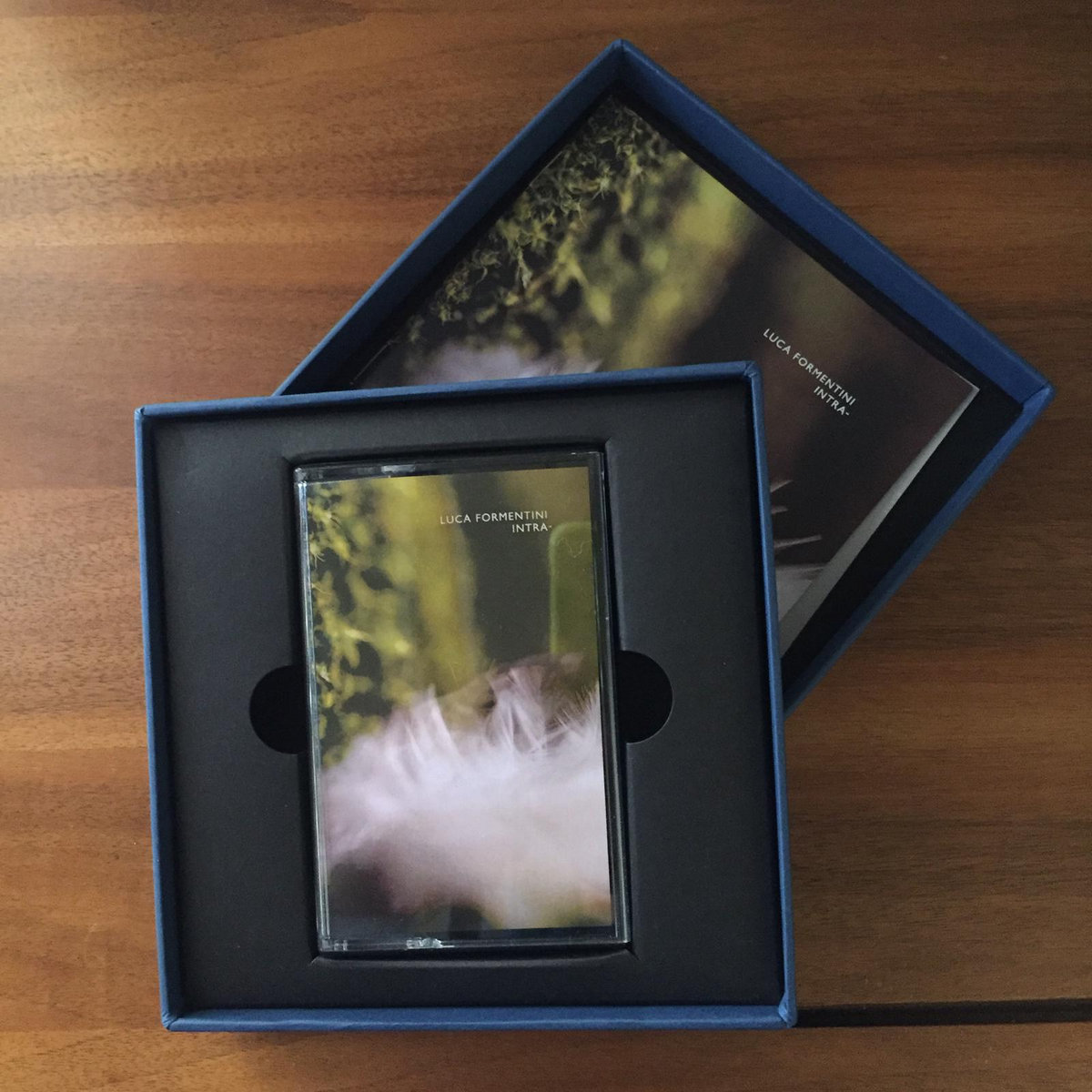 Intra- | Luca Formentini official