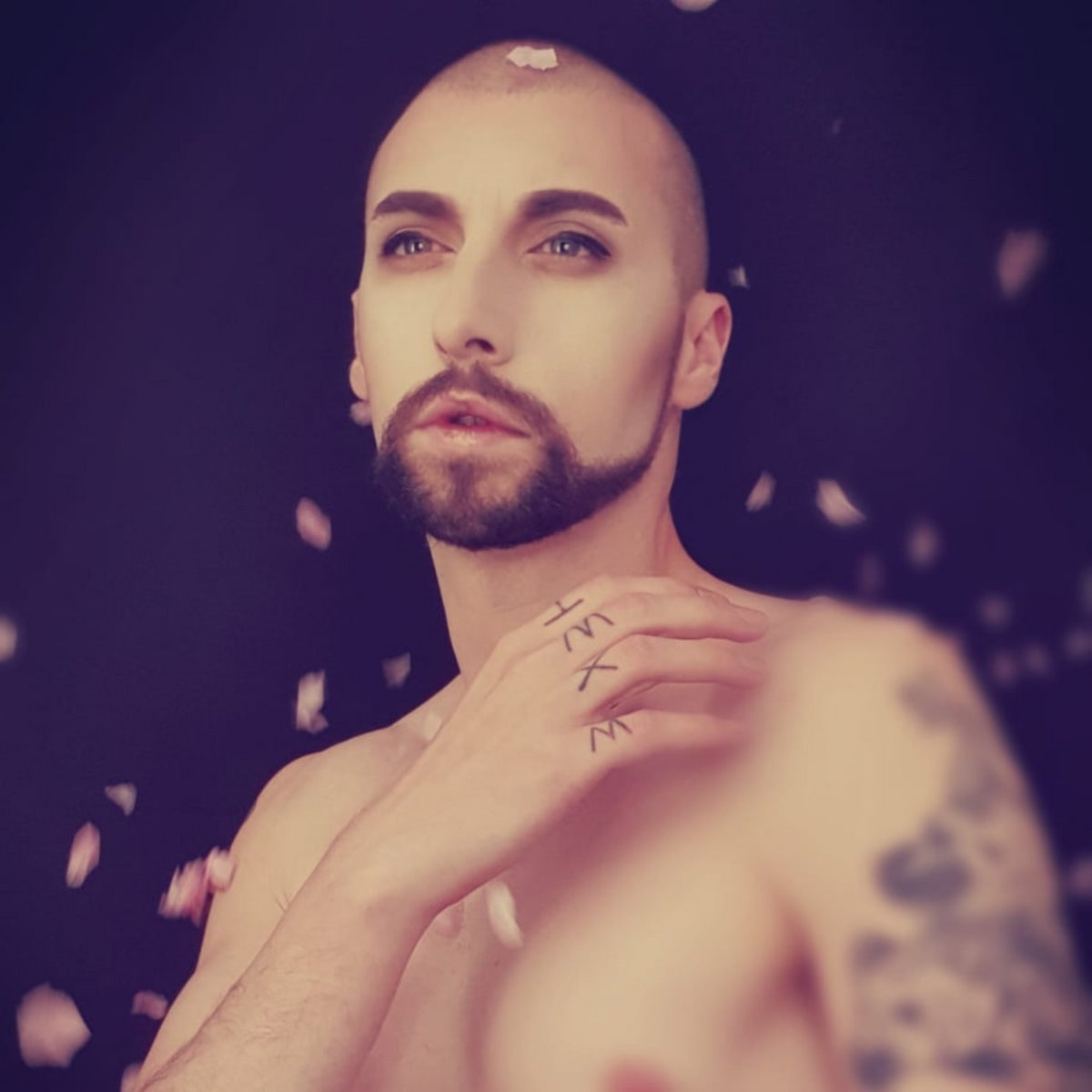 Vampires In California | DIS