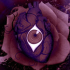 Superclean Vol. II | The Marías