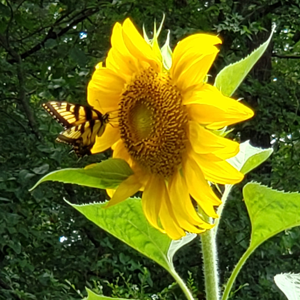 a_soul_viewed's collection | Bandcamp