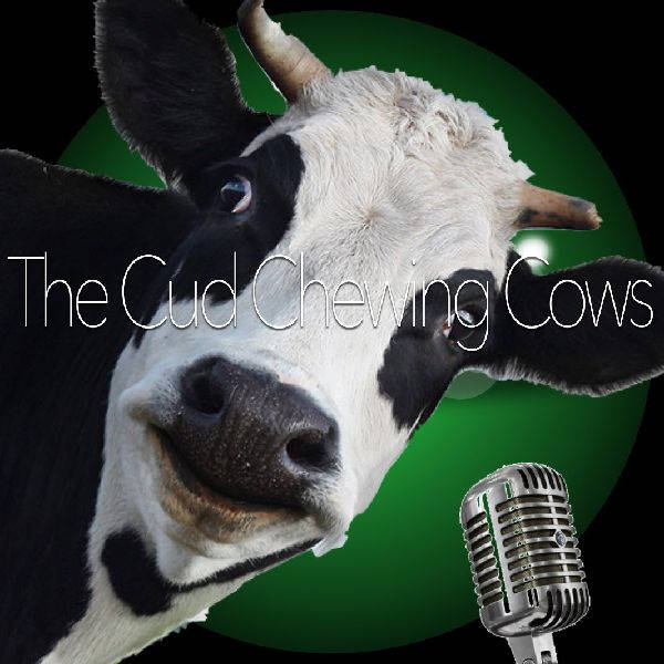 Cow Cud