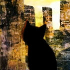 For Long Tomorrow | toe