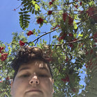 Matches | SIFU HOTMAN (Guante x deM atlaS x Rube) | SIFU HOTMAN