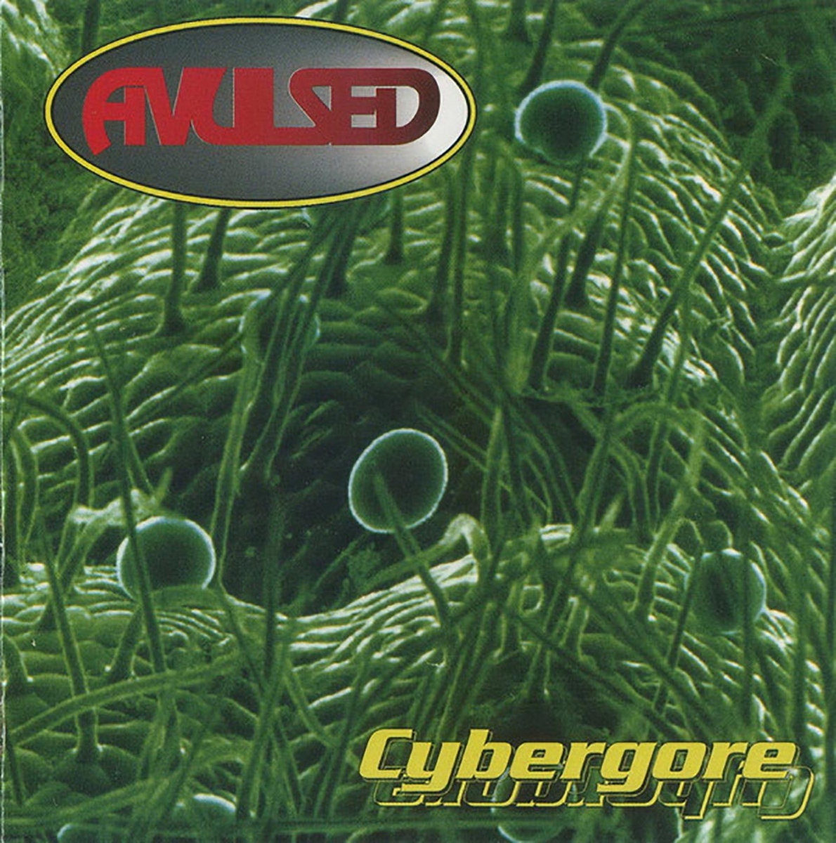 Cybergore | AVULSED | coyoterecords