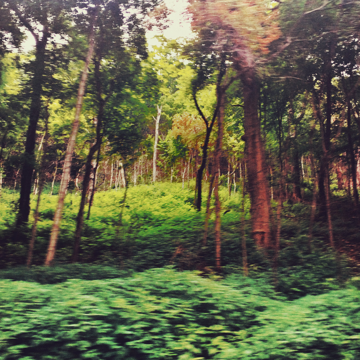 Happening in Mine | Wolfdale