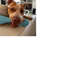 Templo del Sonido | Obnox