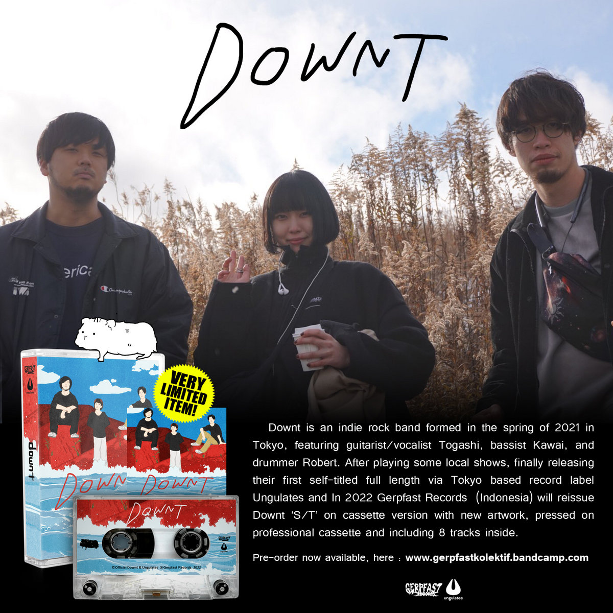 S/T | Downt | Gerpfast Record