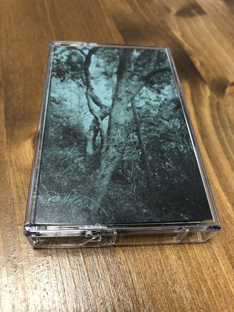 Teleopsia | Thistle | Stoned To Death