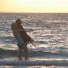 Wake Up Calls | Cosmo Sheldrake