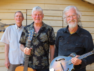 Music | Old Growth Band