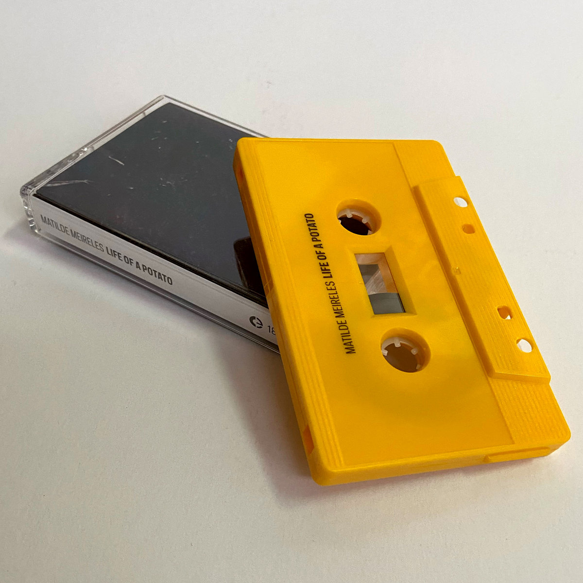 Life of a Potato | Matilde Meireles | Crónica