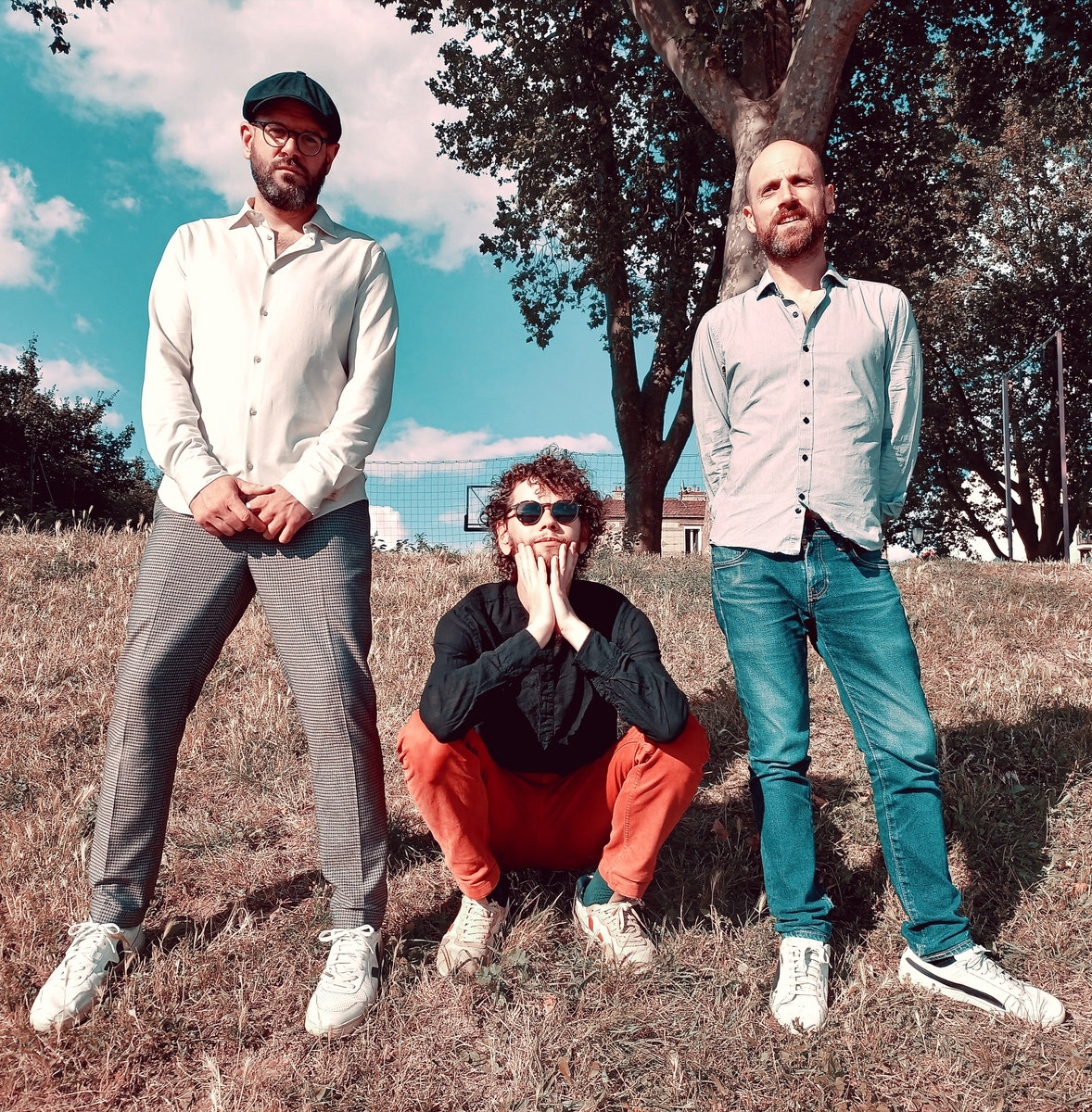 Dancing Bird | Dancing Birds