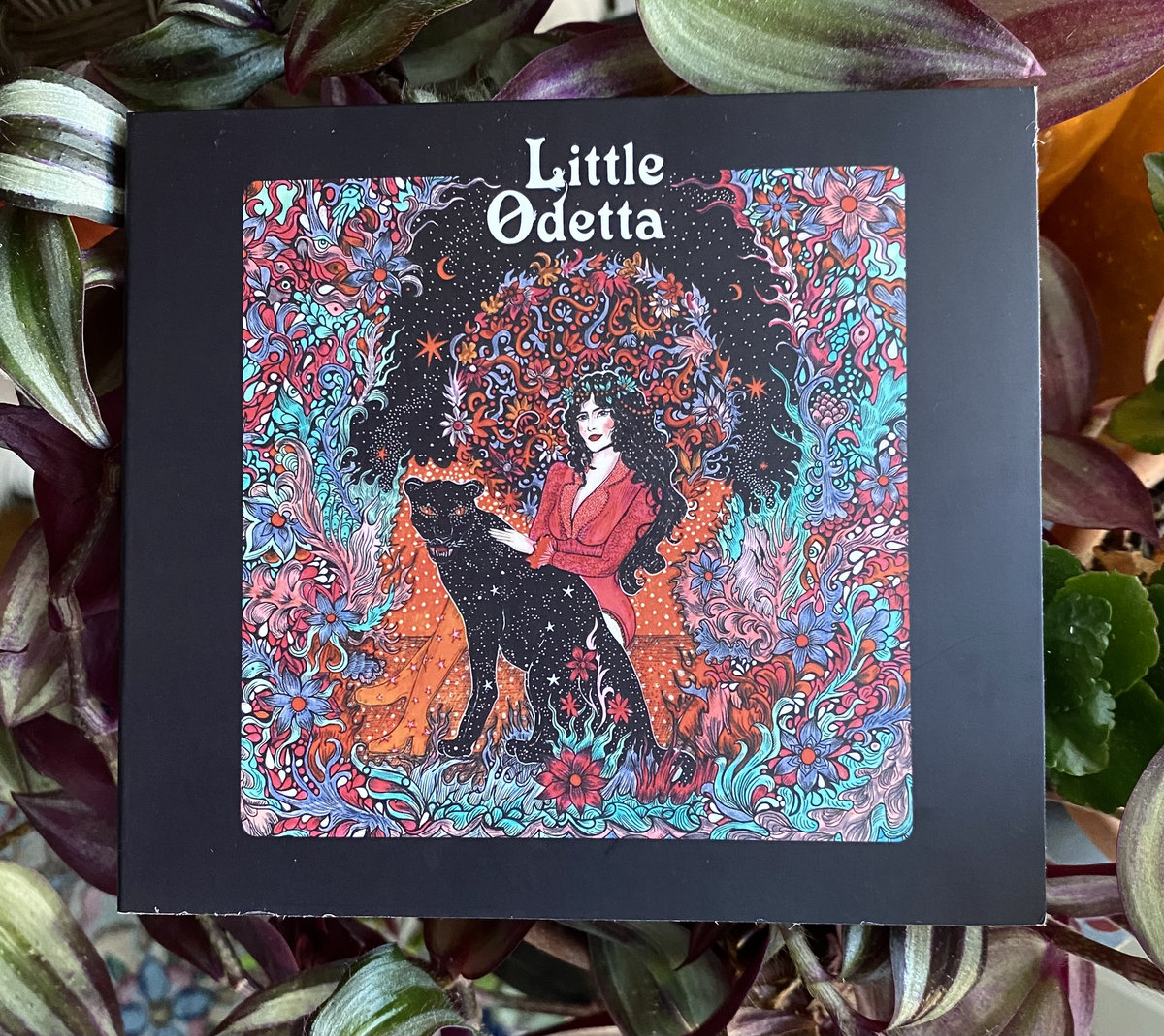 Little Odetta | Little Odetta