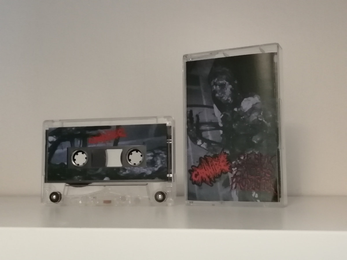 Cannibe & Sebum Excess Production Split | Cannibe & Sebum Excess ...