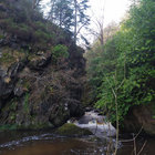 A Farewell to Reason | Automatic Tasty | Wrong Island Communications