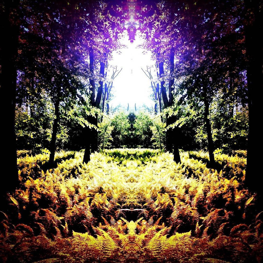 All I Ever Wanted Was The Fire | The Lights Beneath