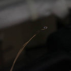 A Pact with the Devil LP | Catholic Spit