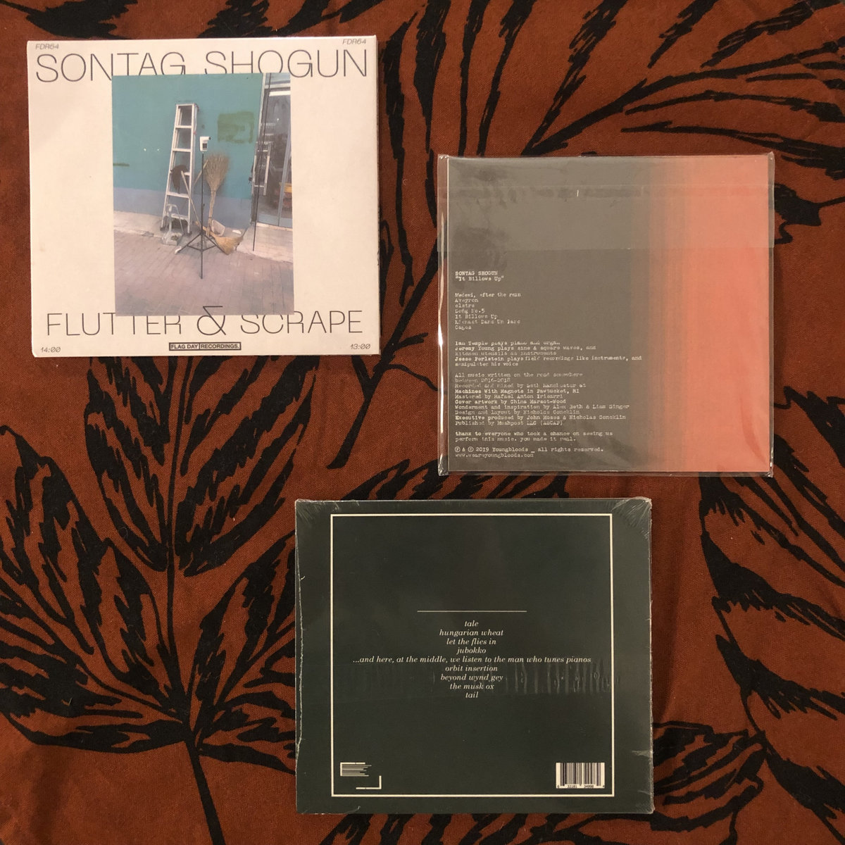 Flutter & Scrape | Sontag Shogun