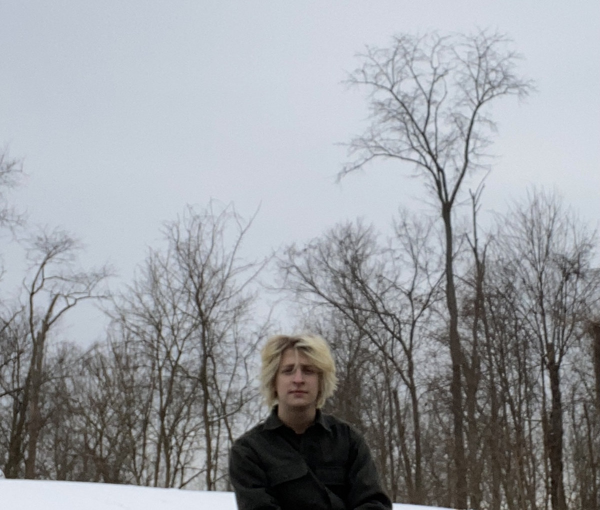 Where The Dandelions Grew | Andrew Bilinsky