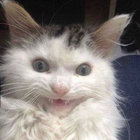 Alterniabound (with Alternia) | Homestuck