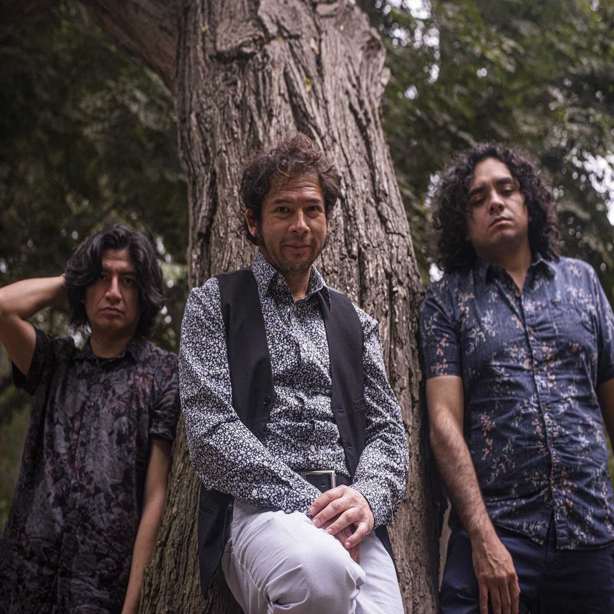 Music | Los Silver Mornings