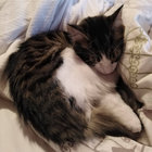 Bloody Keep - Bloody Horror | Bloody Keep | Grime Stone Records