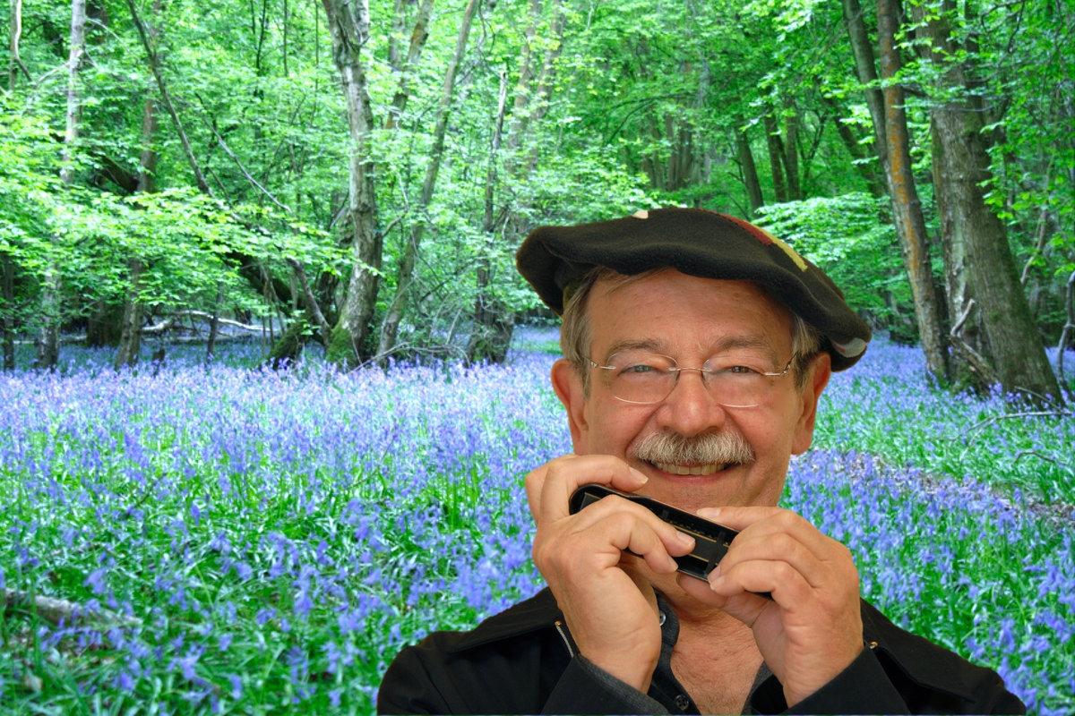 Bluegrass Harmonica | David Naiditch